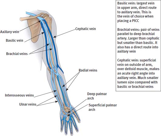 Antecubital Vein Picc Line