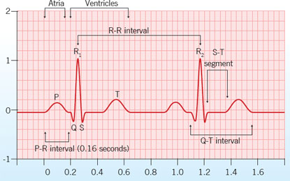 Ecg Part 1
