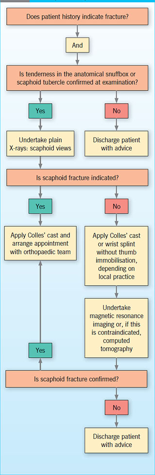 Scaphoid Fracture Pathway