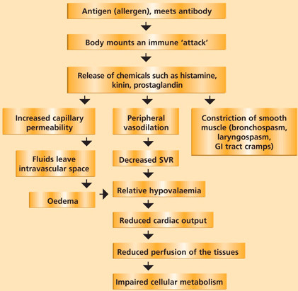 Pathophysiology Of Shock Flow Chart