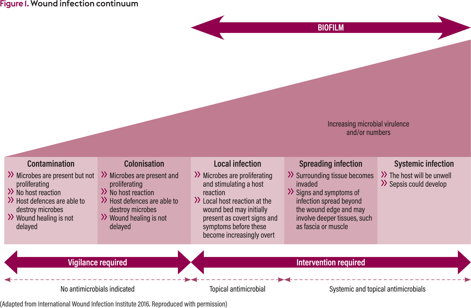 Clinical Signs Of Wound Infection Download Scientific Diagram