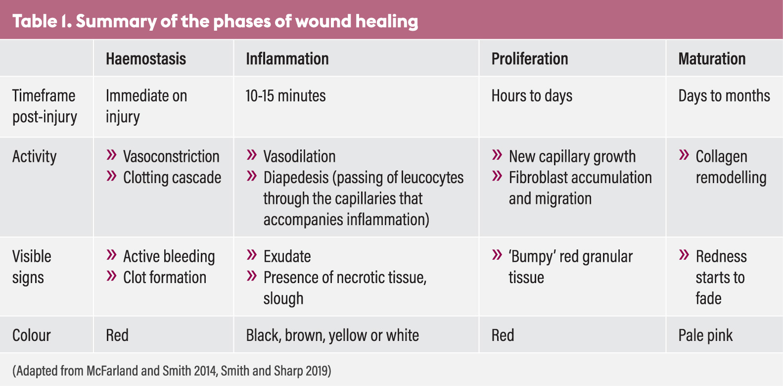 Promoting an inclusive approach to assessing and managing chronic wounds